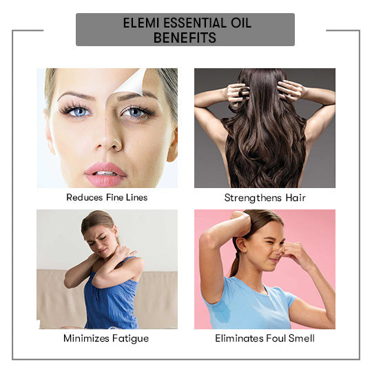 Elemi Oil: Buy Elemi Essential Oil Online at Best Price in UK – VEDAOILS UK