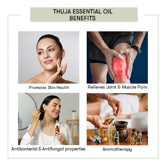 Thuja Essential Oil | Buy Thuja Oil Online at Low Price In India | Bulk ...